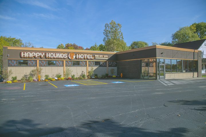 Happy Hounds Hotel To Celebrate First Anniversary | News, Sports, Jobs ...